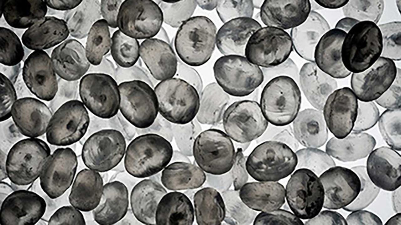 Jafurah the Jewel of Unconventional Gas | Aramco Life