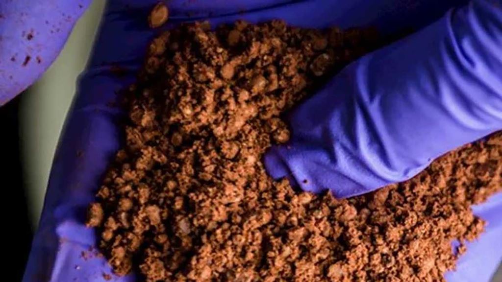 02 Date ARC Plug feature | Aramco Life