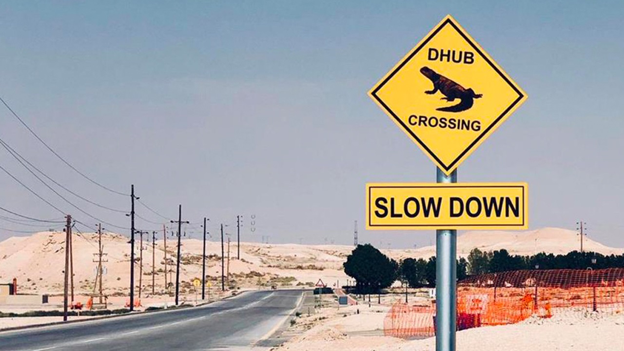 Sustainability in Aramco biodiversity protection areas | Aramco Life