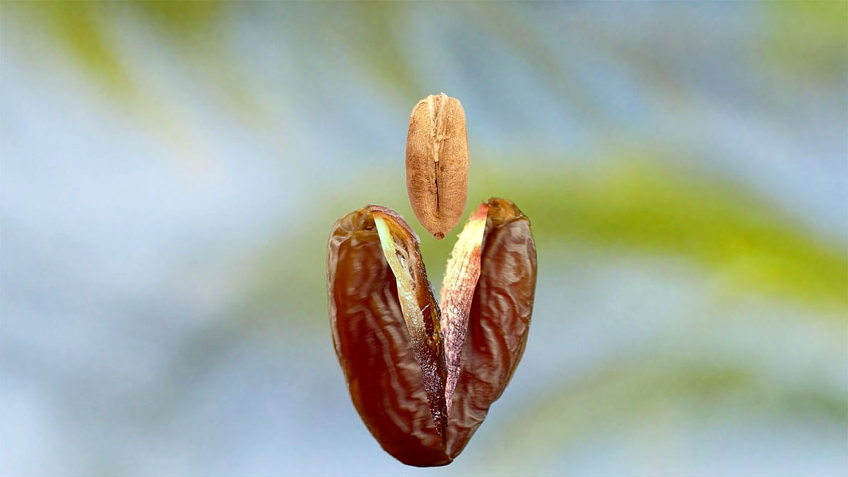 فيديو: كيف نطوّر ثقافة الابتكار لتعزيز قيمة وكفاءة أعمالنا؟ | Aramco Life