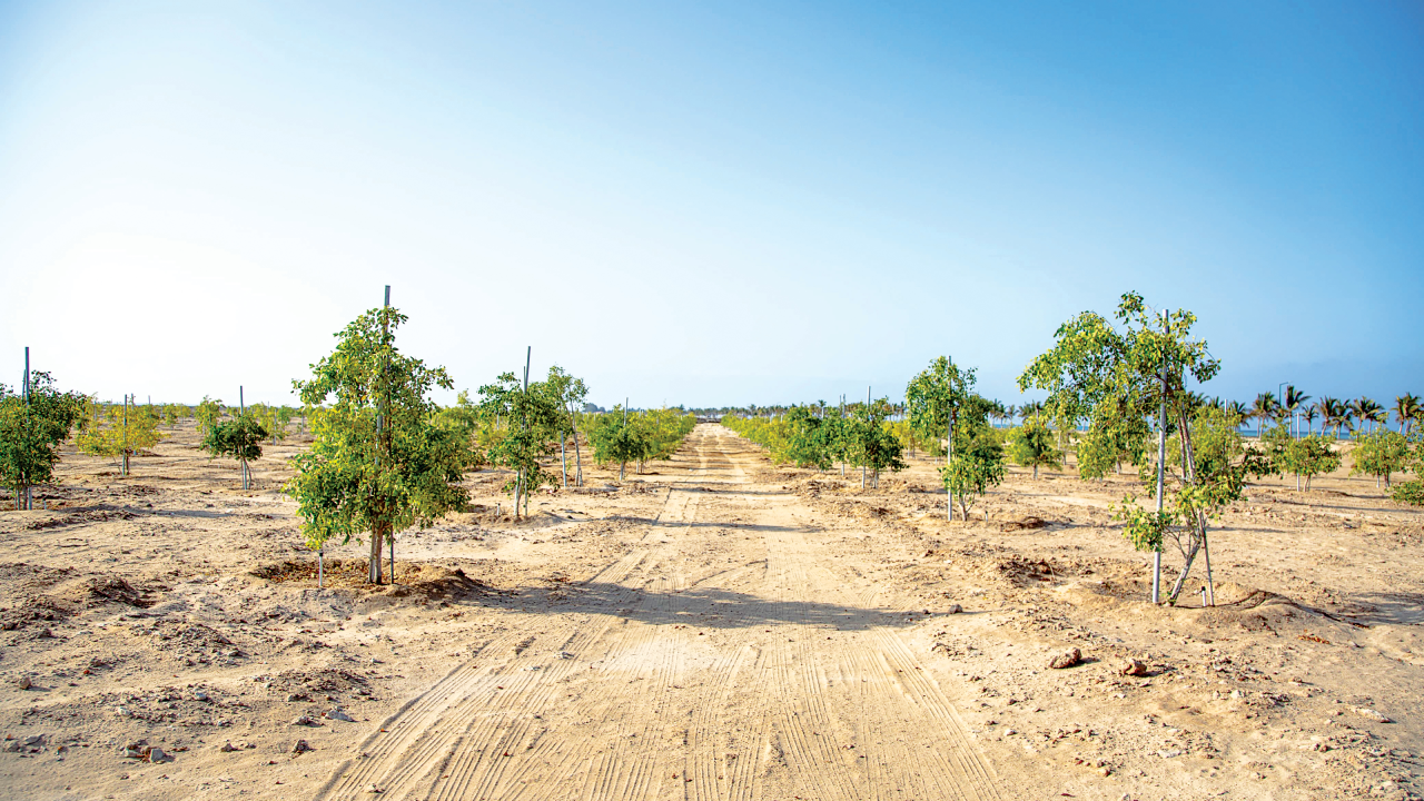 ارامكو لايف | Aramco Life