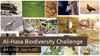 ITC Biodiversity Challenge | Aramco Life
