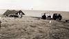 Max Steineke Ghawar feature | Aramco Life