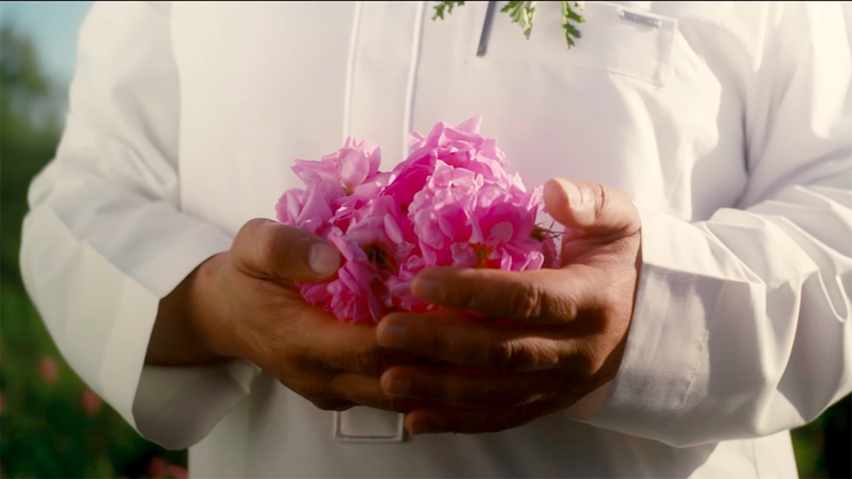 VIDEO Taif rose farmers collaboration with Roseyar | Aramco Life