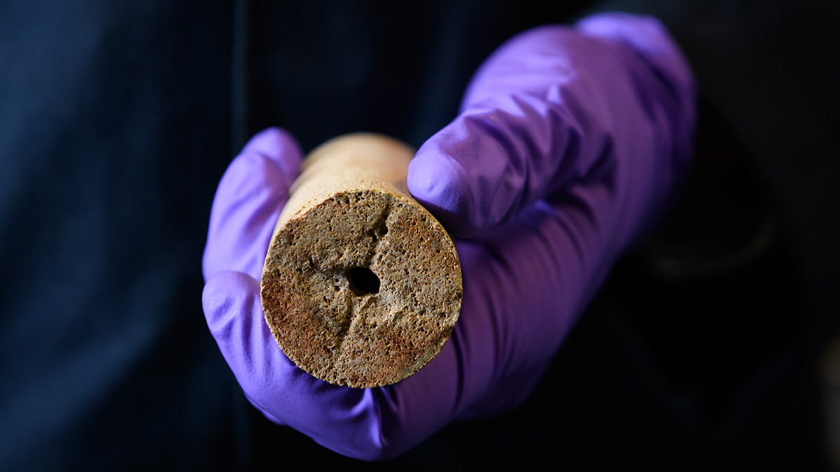 For you | Aramco Life