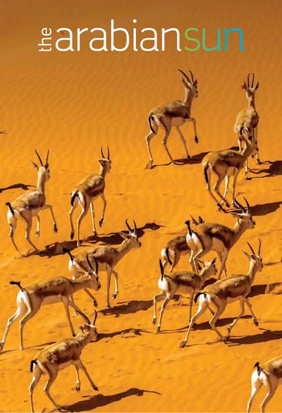 The Arabian Sun | Aramco Life
