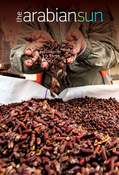 The Arabian Sun | Aramco Life